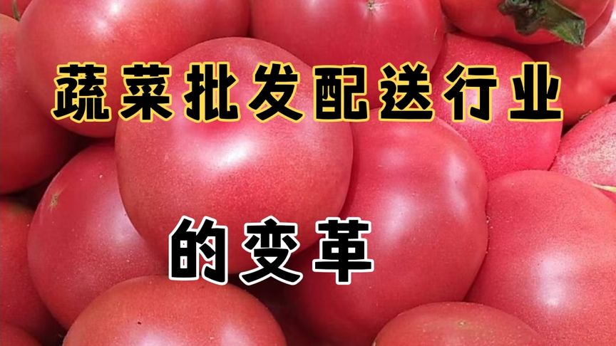 蔬菜批发配送行业该如何去管理?高毛利,低利润的时代该怎么表格