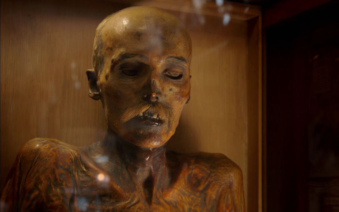 【纪录片】木乃伊复活-枪手【2015. S01】【双语字幕】