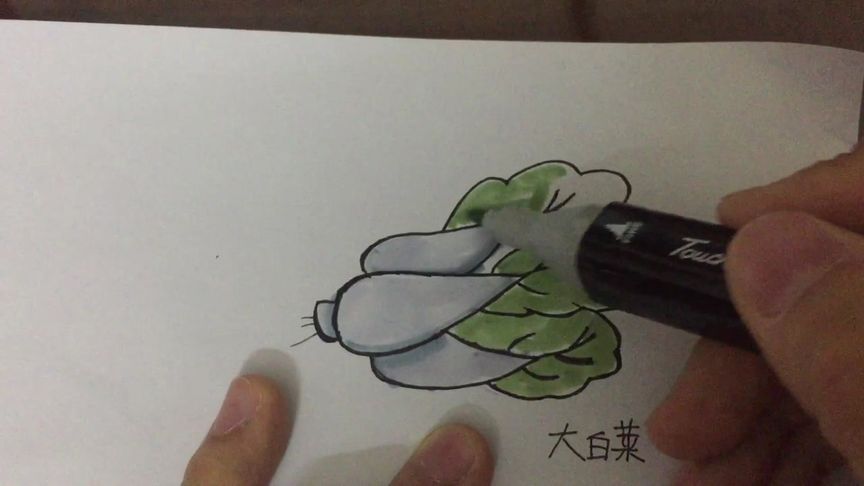 教你怎么画卡通小白菜和上色方法,简单几笔,非常可爱