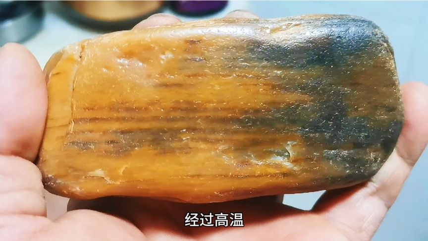 永恒的生命不朽的神奇!树化玉的前世今生。