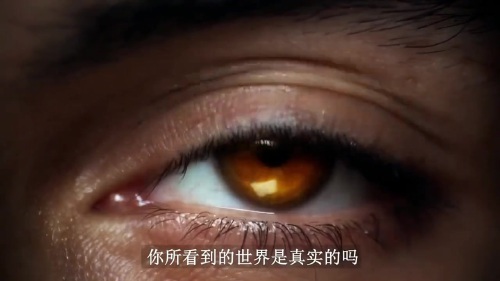 你所看到的世界是真实的吗?看完颠覆你的
