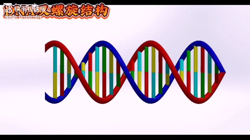 欢迎关注与评论!#DNA双螺旋结构