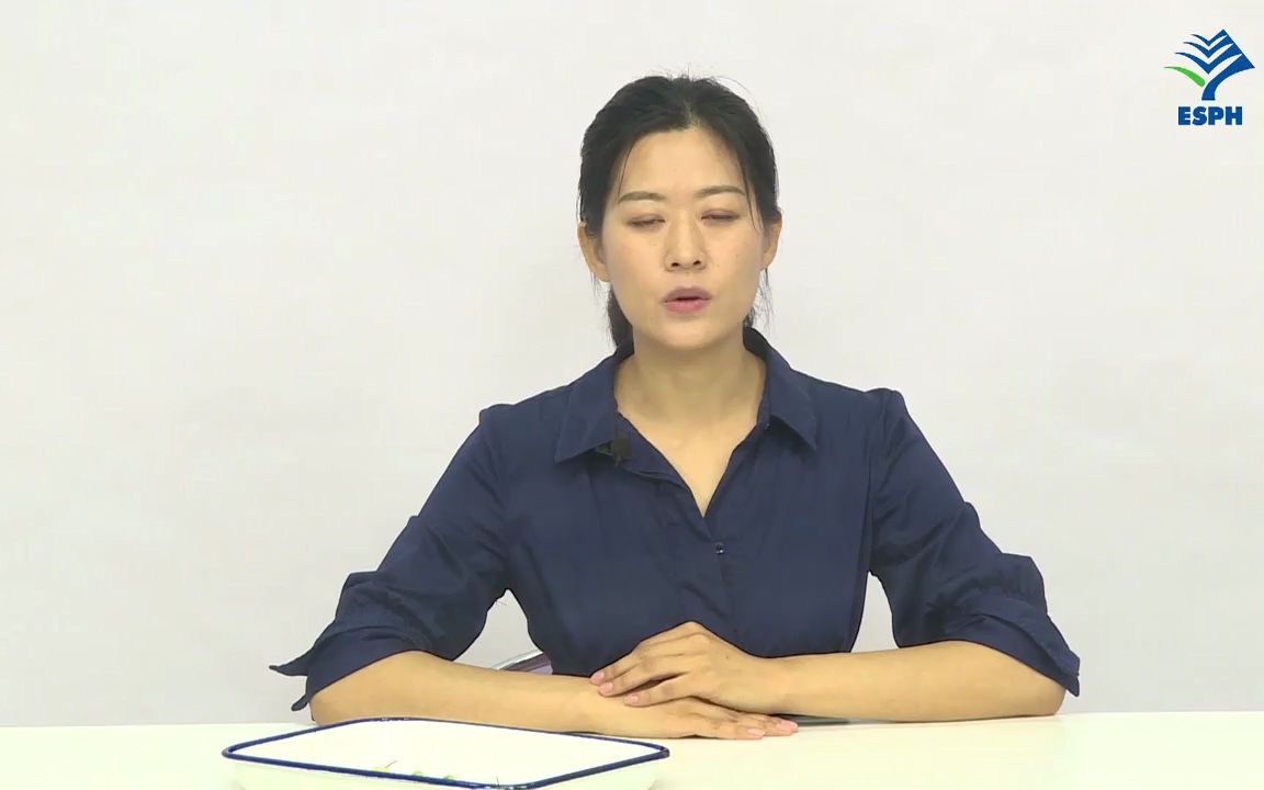 1.6观察凤仙花的果实和种子