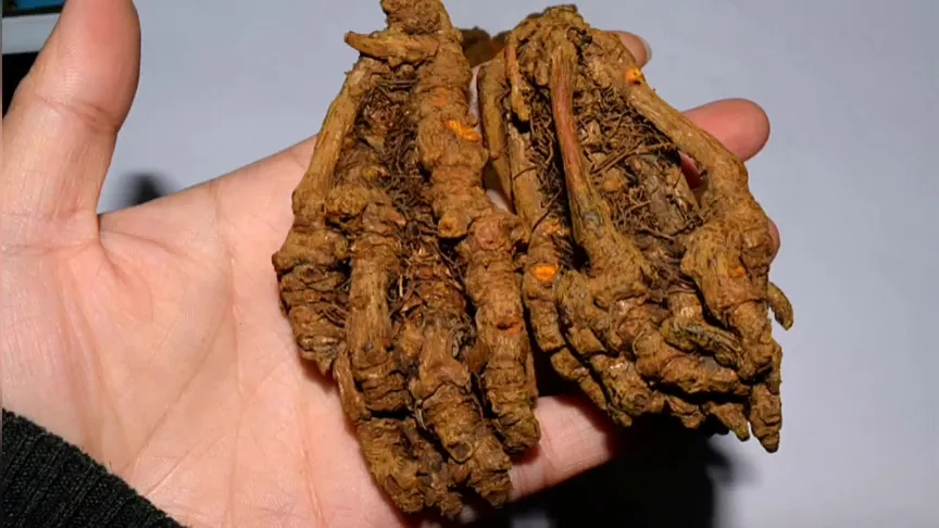湿疹、皮炎、身上痒?中药止痒膏配方公开,在家自己做,简单好用