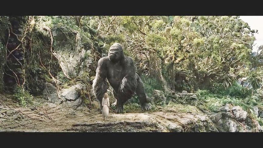 原始森林里的动物,可把所有人吓的不轻