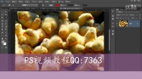 免费PS学习视频,ps基础入门教程ps教程入门