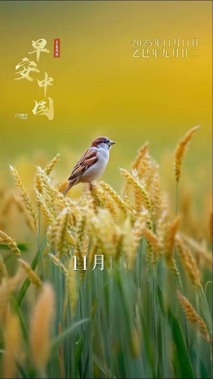 11月11日,星期二,早安。每一个清晨,都是生活的起航。每一天的祝福,...