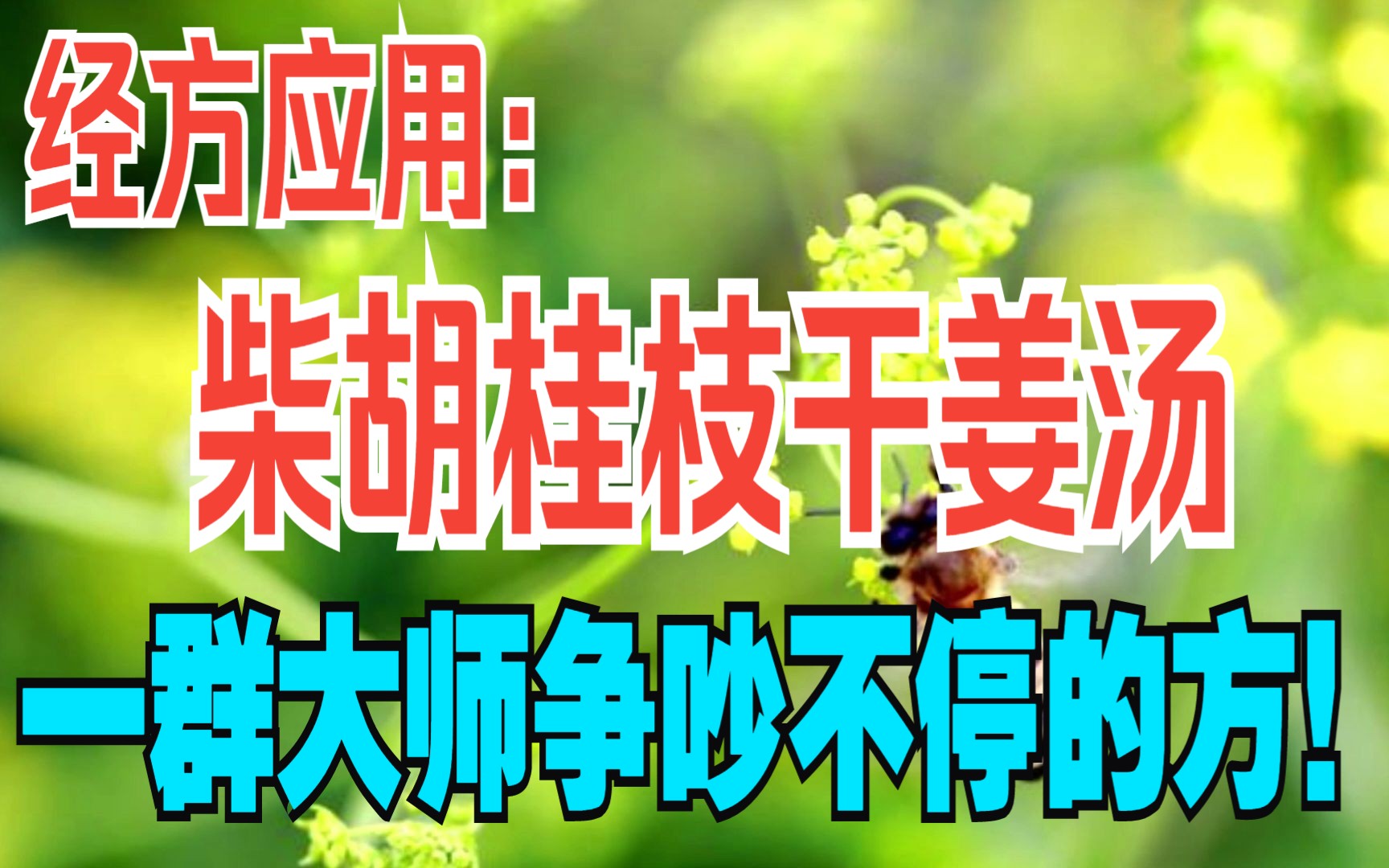 经方应用:柴胡桂枝干姜汤 ——一群大师争吵不停的经方