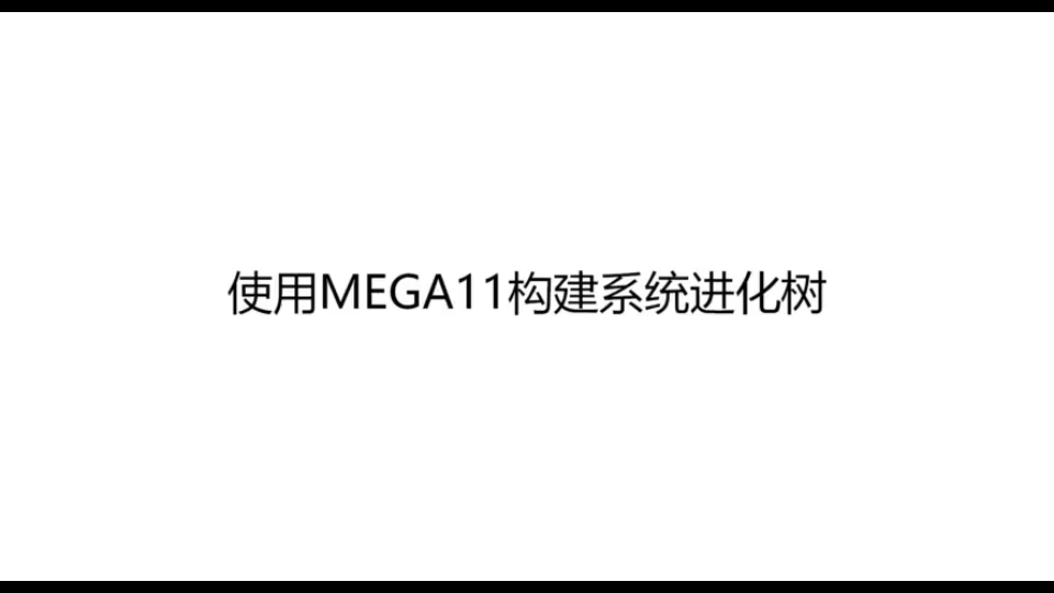 使用MEGA11构建系统进化树