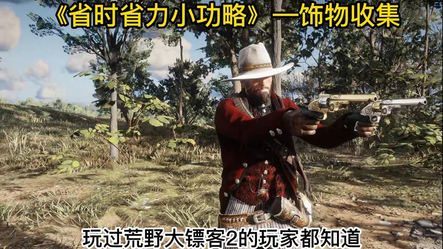 省时省力小功略—饰物收集 #steam游戏 #荒野大镖客2 #游戏攻略