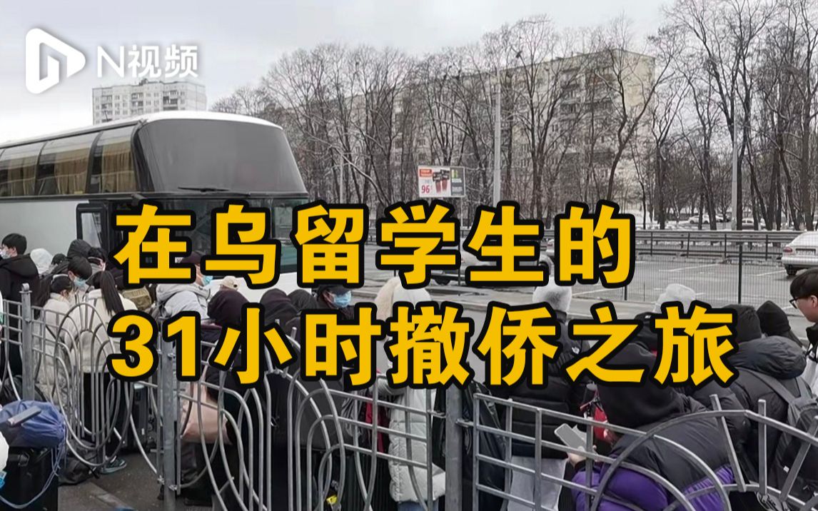 在乌留学生讲述31小时撤侨之旅:学生自发当车长维持秩序