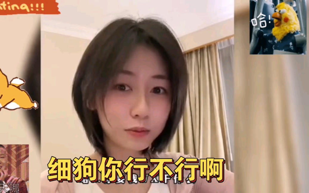 程女士名场面,细狗你行不行啊?