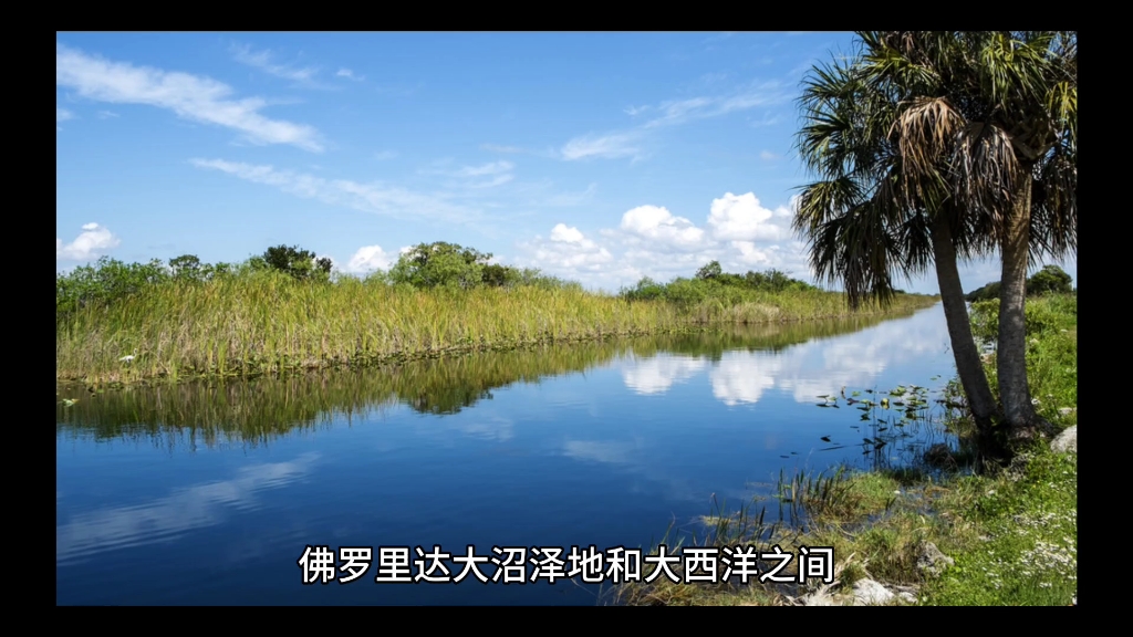 恶心!毁三观!美国脱衣舞娘张腿向警察喷射尿液,5名警察染性病