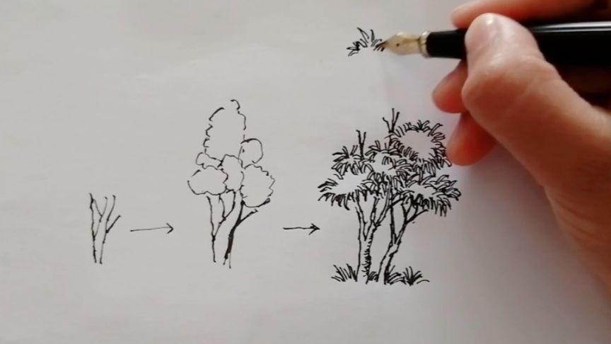 零基础钢笔画学习:简简单单教大家画棵树!