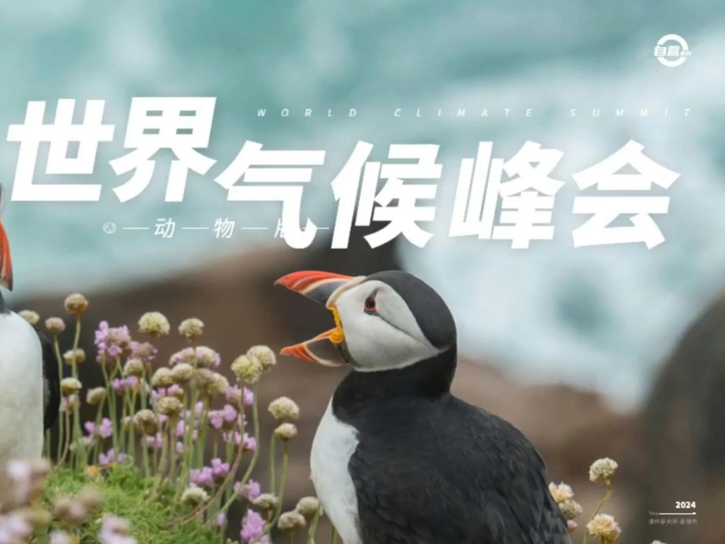 通过角色扮演做出来的《世界的气候》课件