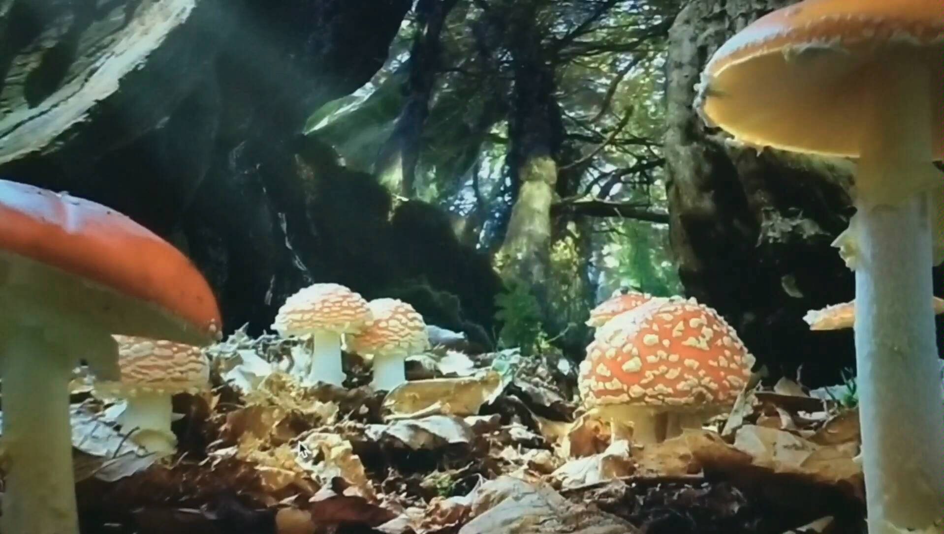 找灵感,草图,刻章全过程——纪录片《小巨人》TinyGiants观影灵感