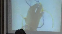 主题三 绳编手链(小学劳动技术_浙教课标版_四年级上册(2013年7月...