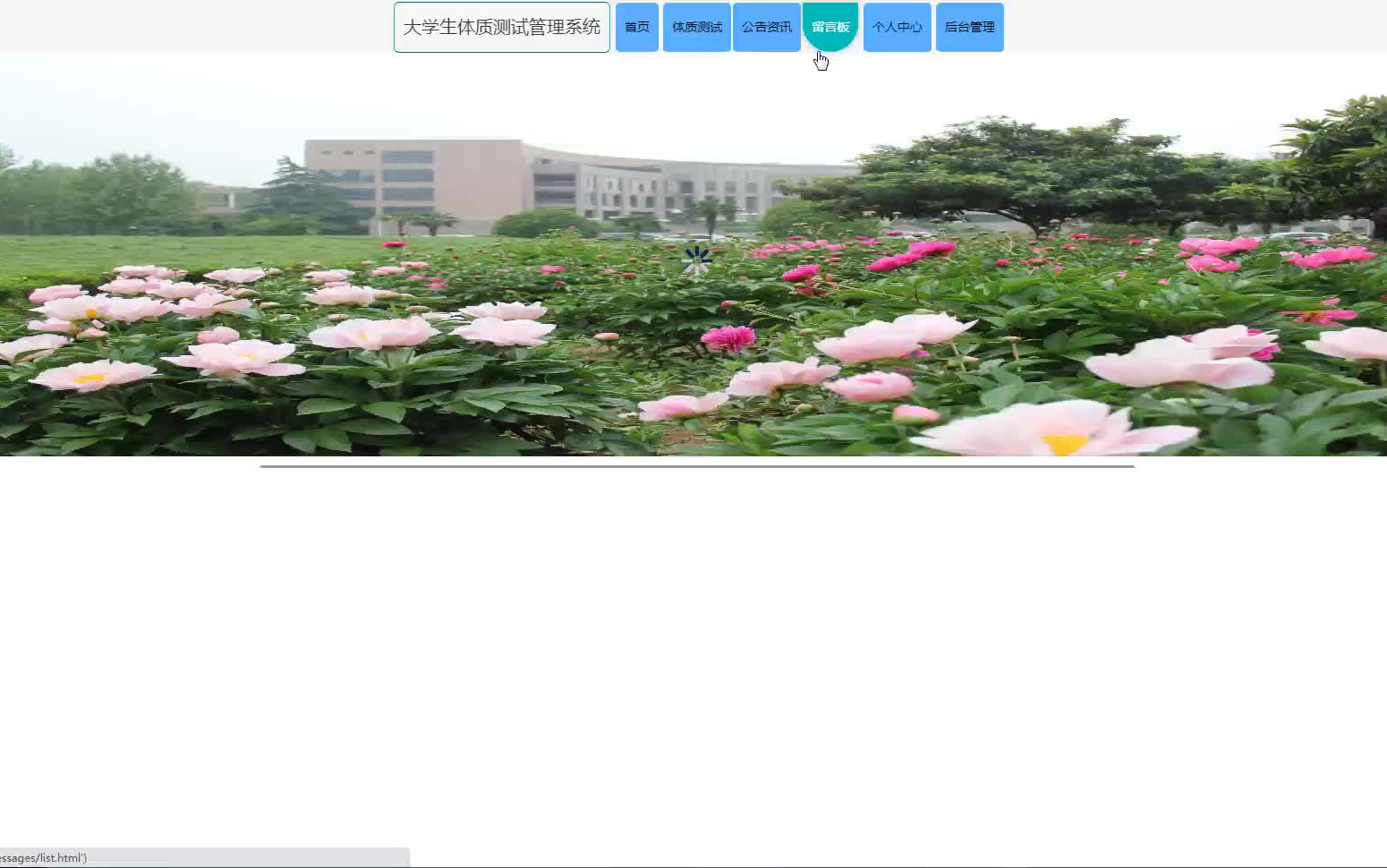 基于java+springboot大学生体质测试管理系统-计算机毕业设计