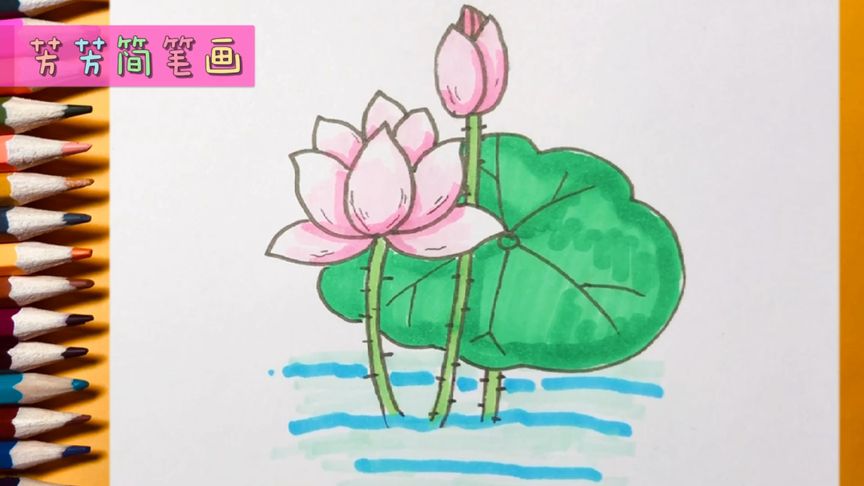 儿童美术简笔画启蒙,学会画池塘里的荷花,你学会了么?