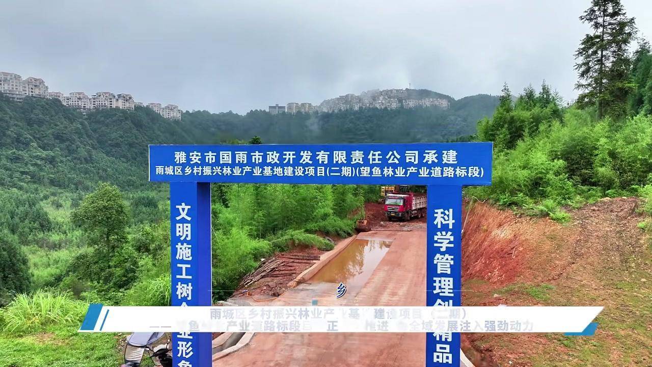 乡村振兴,道路先行!雨城区乡村振兴林业产业基地建设项目(二期)--望鱼...