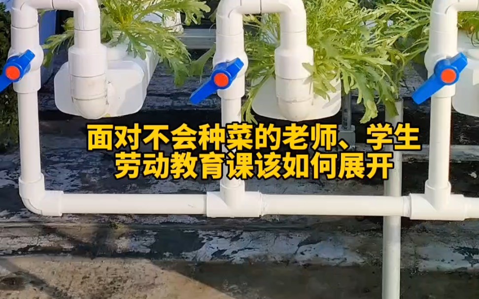 学校要开展劳动实践,但老师也不会种植的窘境怎么破?