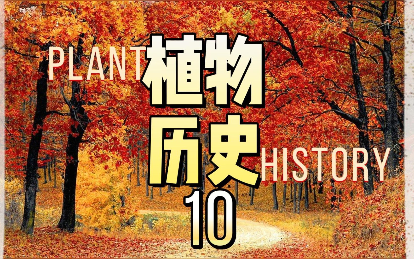 植物历史(十):植被演替