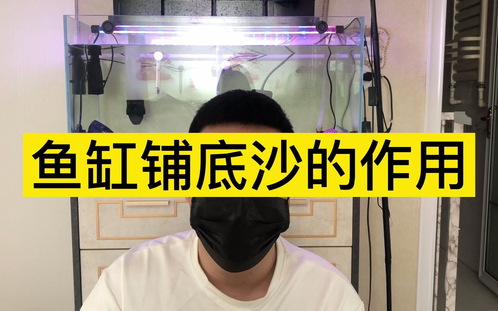 鱼缸铺设底沙的作用