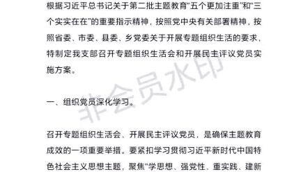 ...第二批主题教育召开专题组织生活会和开展民主评议党员的实施方案
