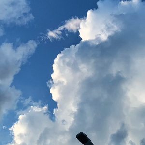 我来地球凑数的 