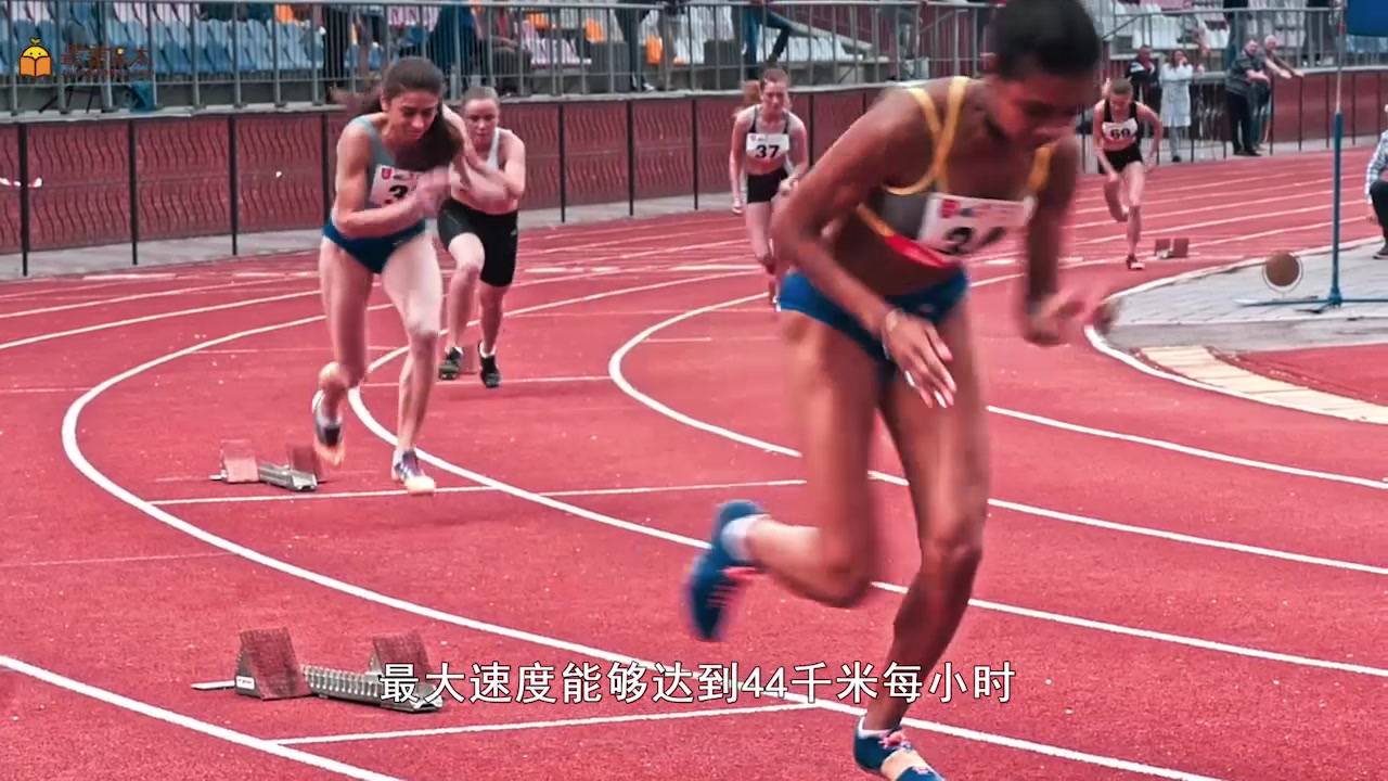 五年级上 语文 《什么比猎豹的速度更快》