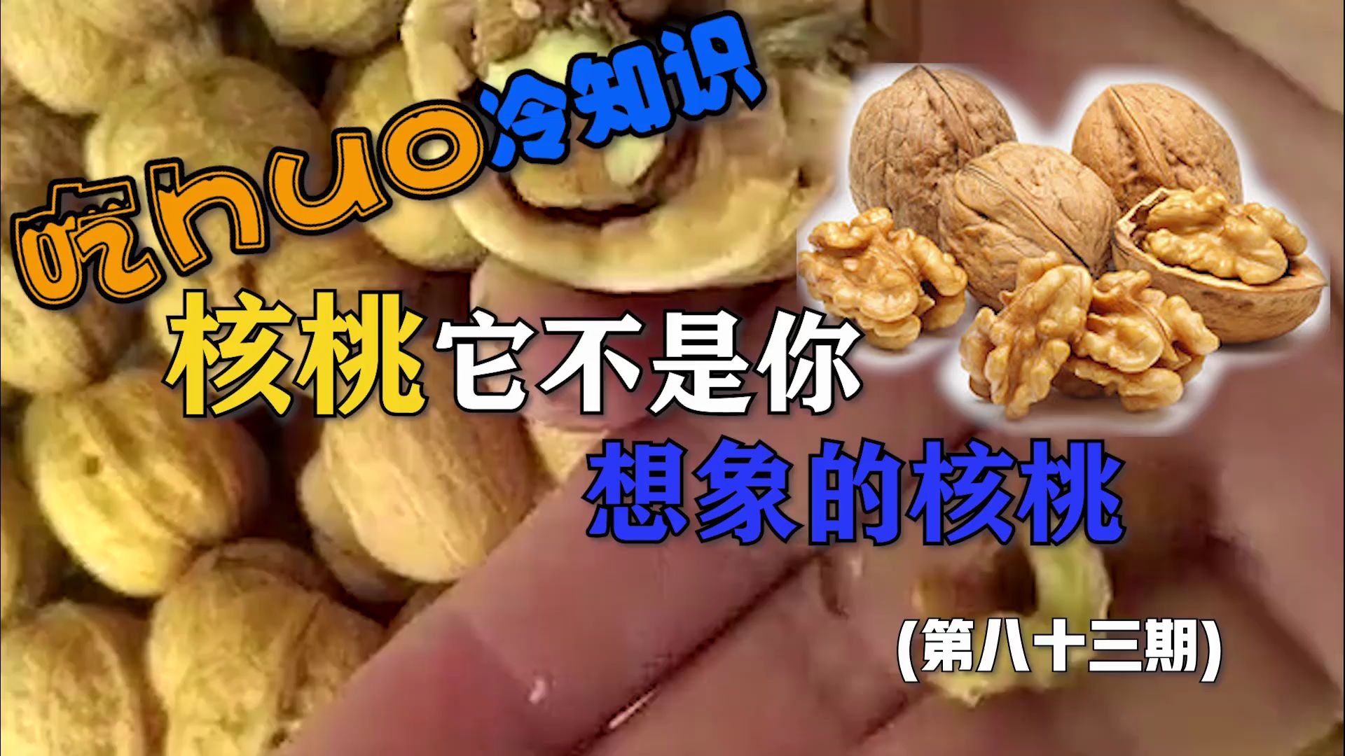 【胖狗冷知识】核桃它不是你想象的核桃
