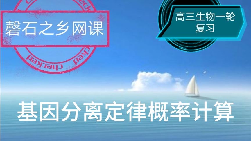 基因分离定律概率计算(高三生物复习)