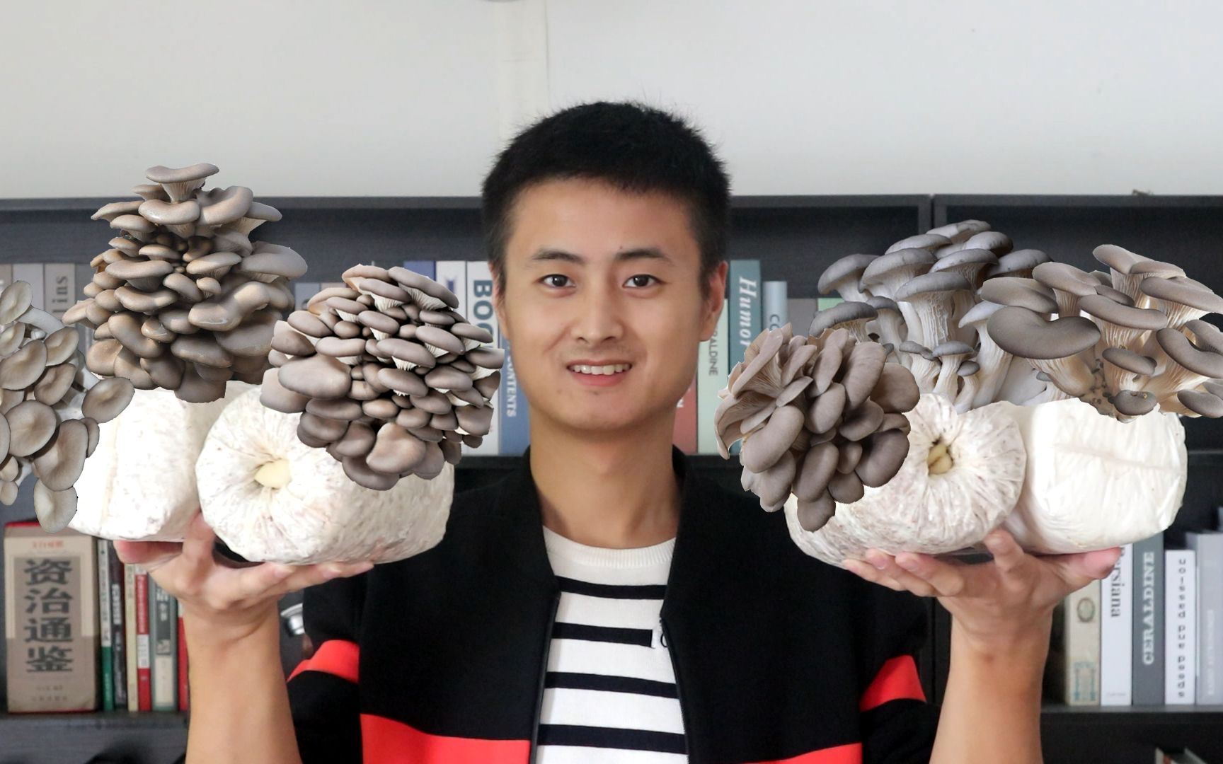 菌包蘑菇摘几次不生长了,帅哥居然用这个方法解决,3天时间又开始长...