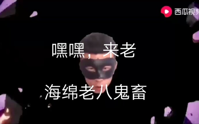 海绵老八在线鬼畜,嘿嘿来老