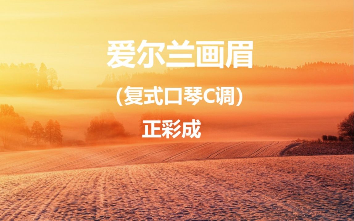 爱尔兰画眉(复式口琴C调)