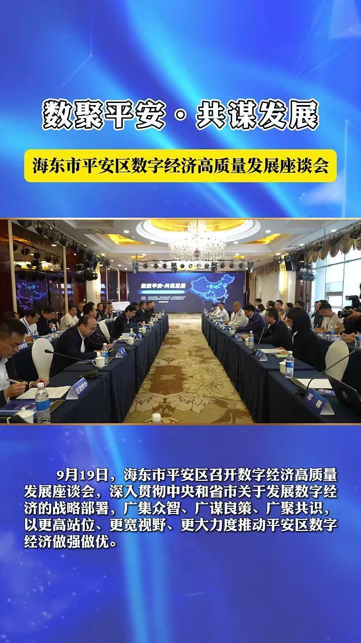 平安区召开数字经济高质量发展座谈会#数字经济#海东平安