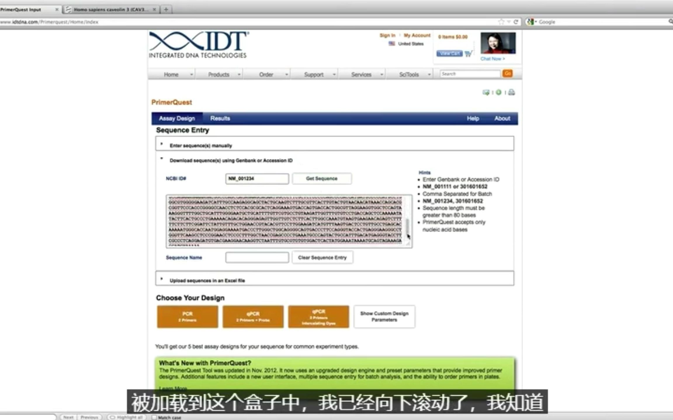 如何使用PrimerQuest设计跨外显子连接的qPCR引物