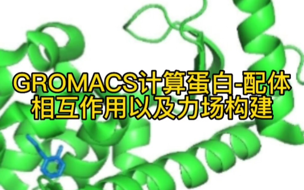 GROMACS计算蛋白-配体相互作用以及力场构建