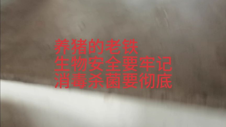生猪养殖核心管理方法之一一一定期消毒灭菌