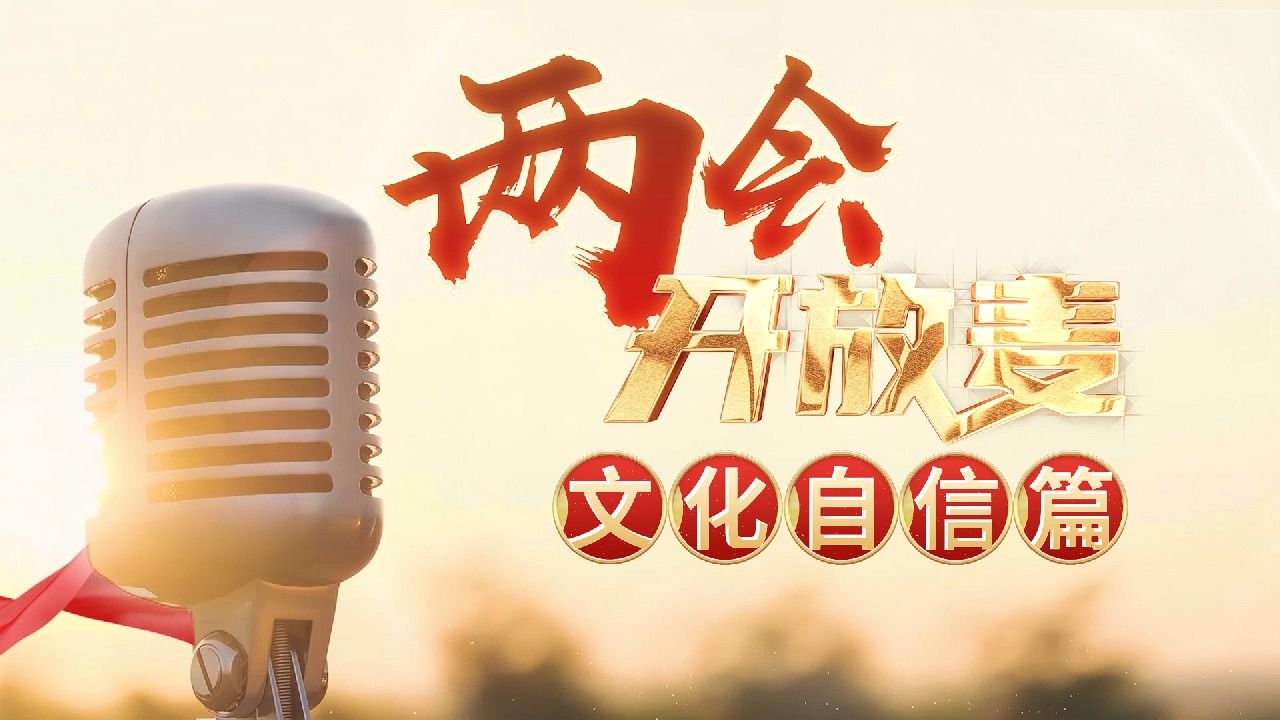 两会开放麦|坚定文化自信 你做到了吗?