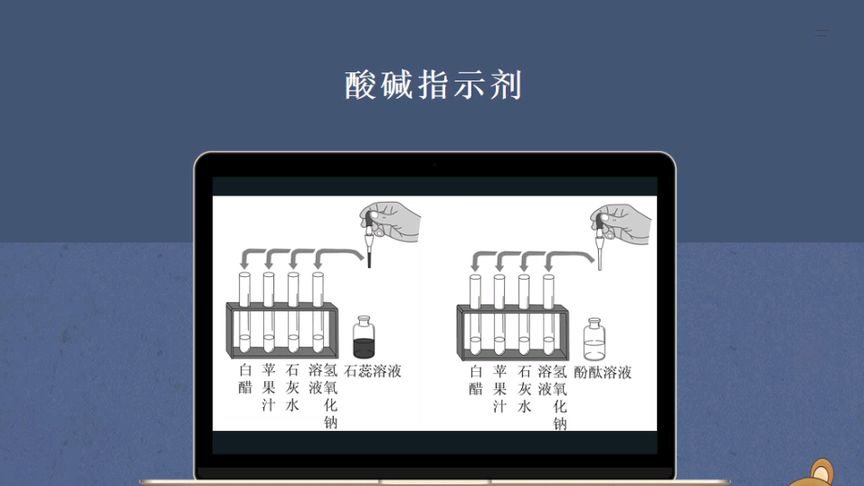 初中九年级化学 酸碱指示剂讲解