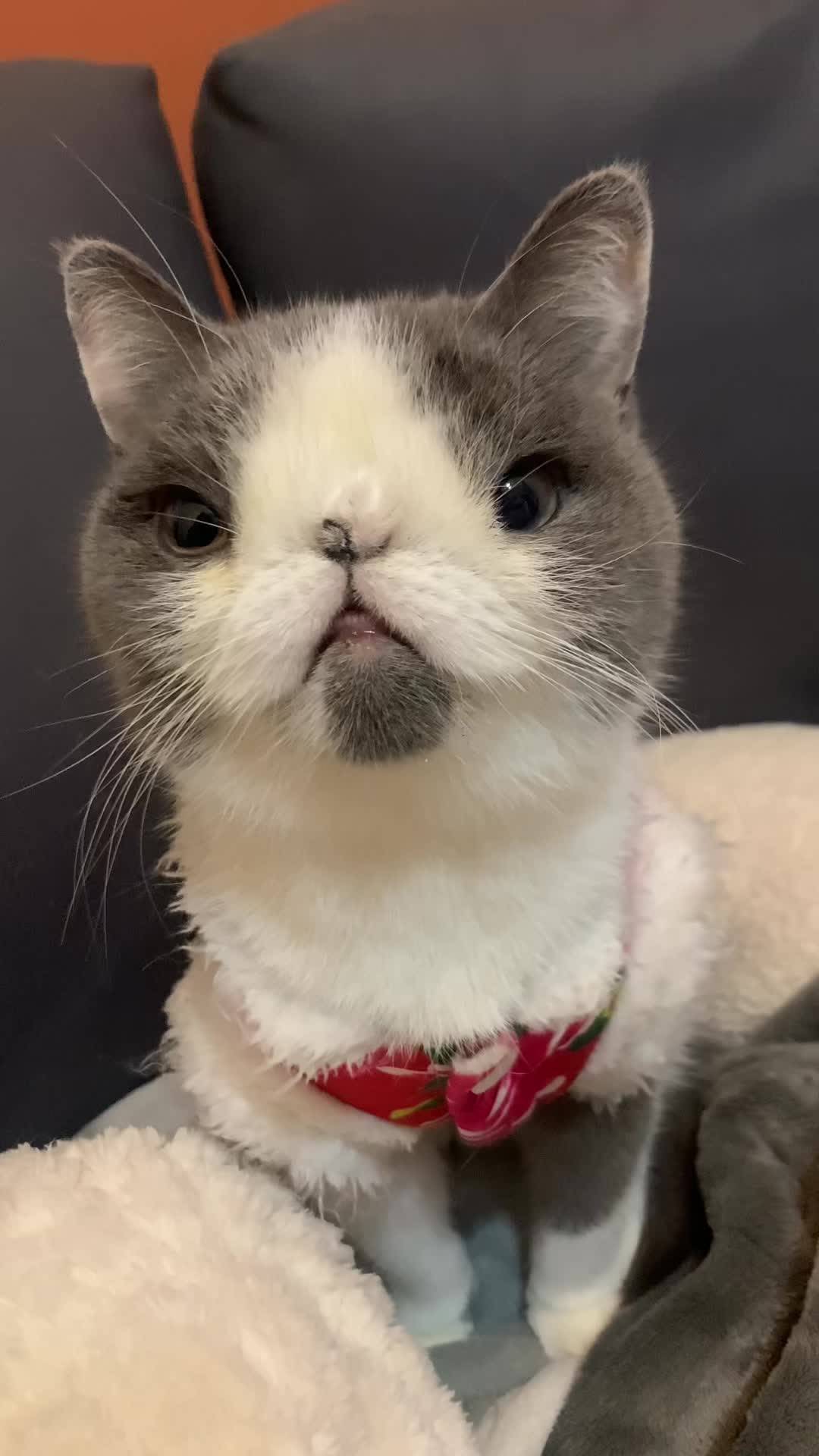 你可能不认识我,但见了就会很难忘记~