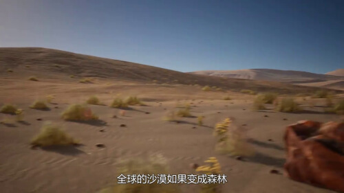 全球的沙漠如果变成森林,会出现什么后果?说出来很多人都不信