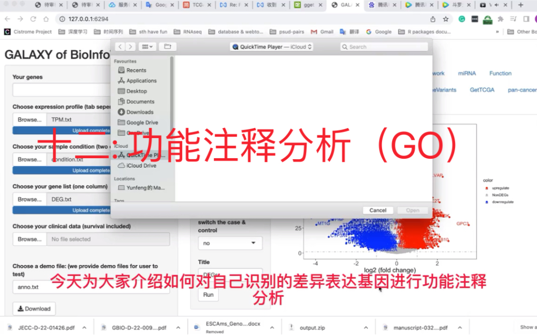 十二: 功能注释分析(GO)