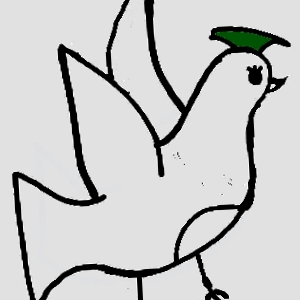 咕咕jun 