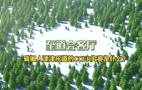 碳圈人津津乐道的CCER究竟是什么?