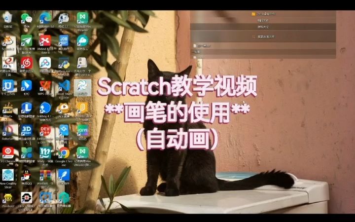 scratch教学视频-画笔-自动画