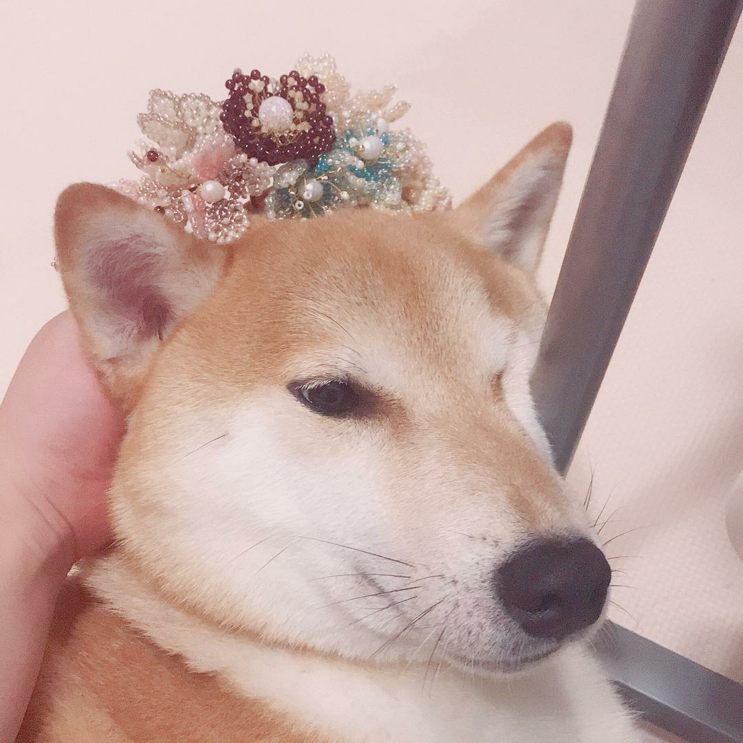 老晒灬日本农村日常 