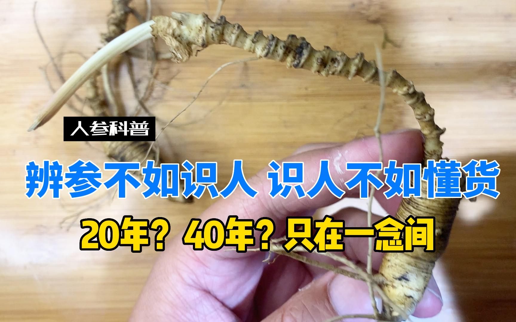 没想到!我一眼看到的东西,居然要讲十几分钟,来学学怎么分辨人参吧?上