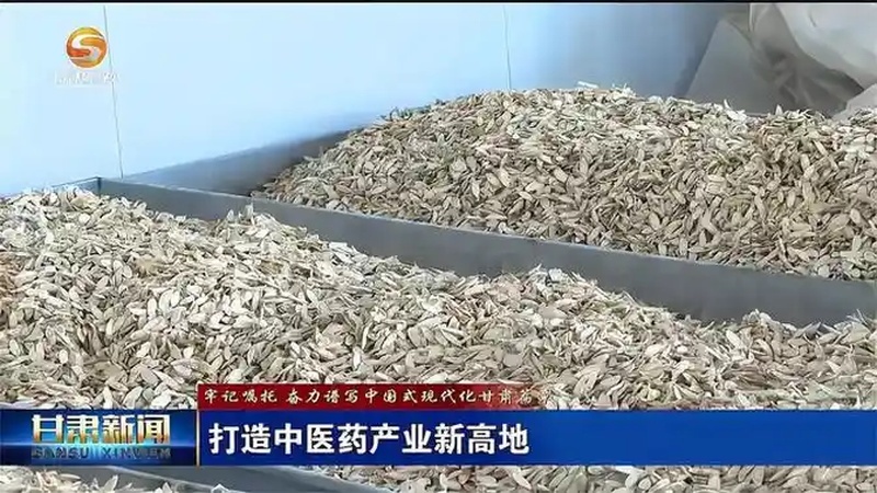 (牢记嘱托奋力谱写中国式现代化甘肃篇章)打造中医药产业新高地